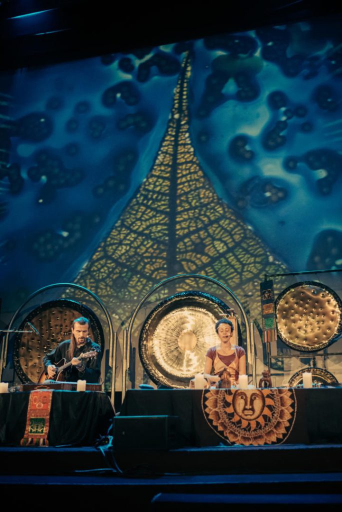 Earth Gong 30''-75 cm - Tone of Life Gongs - Shop - Innovating in the ...
